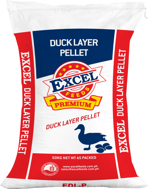 Poultry | Excel Feeds