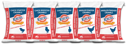 Poultry | Excel Feeds