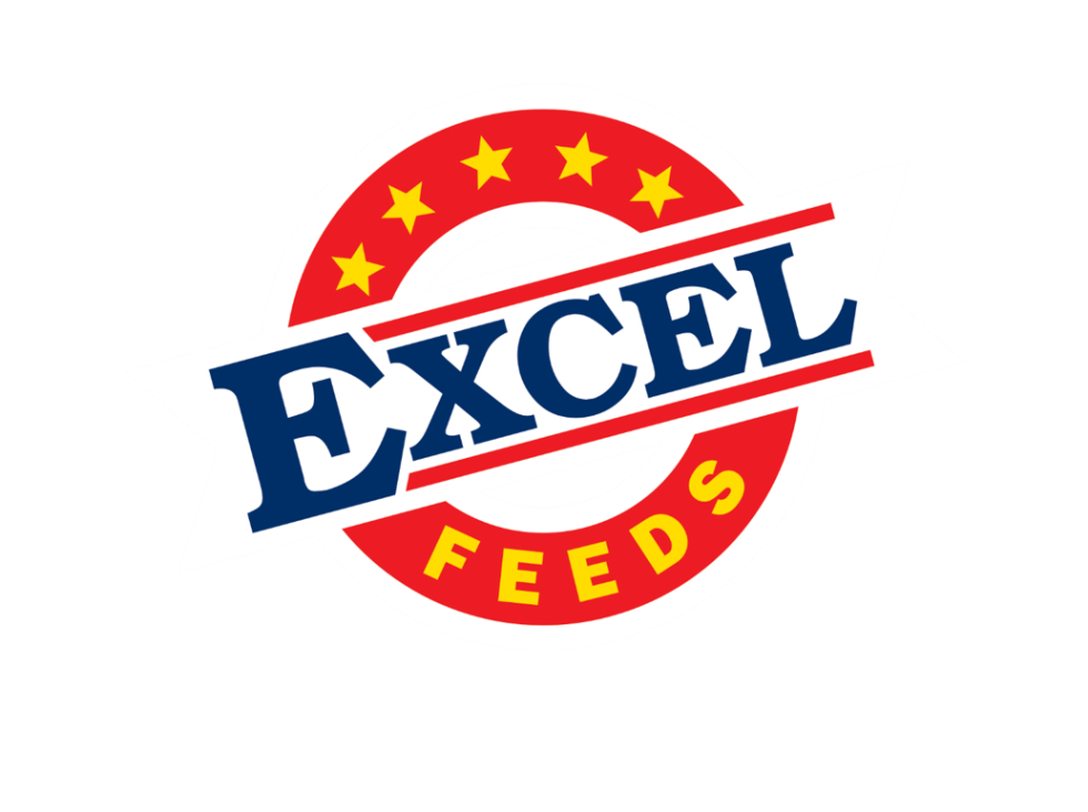 Poultry | Excel Feeds