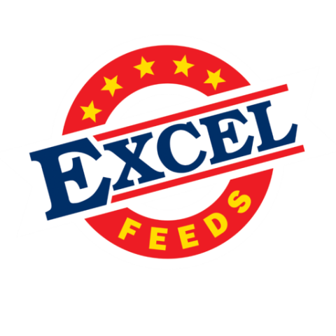 Contact Us Tab | Excel Feeds