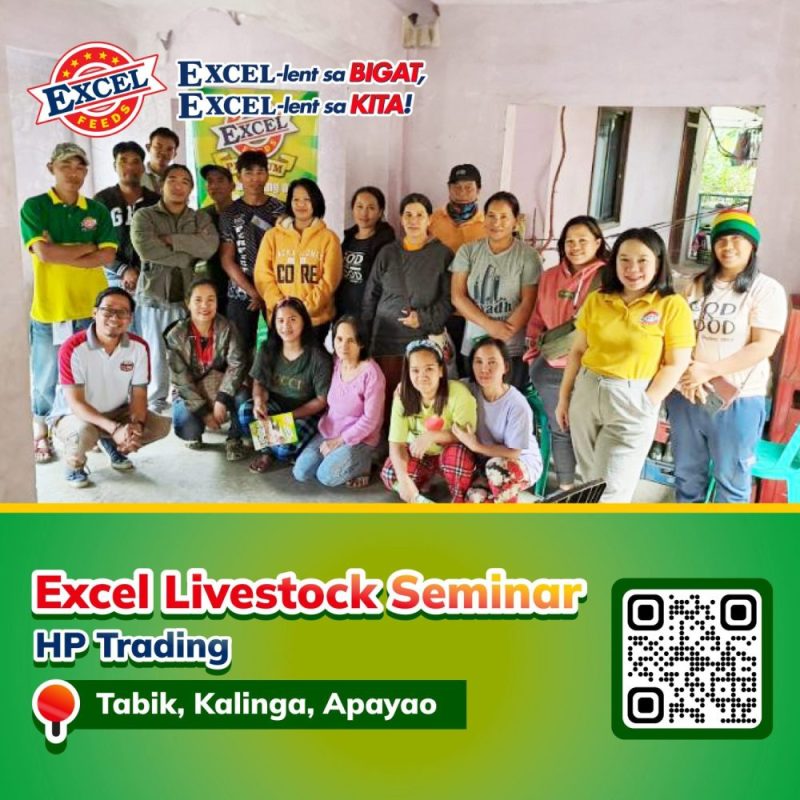 News and Events | Excel Feeds