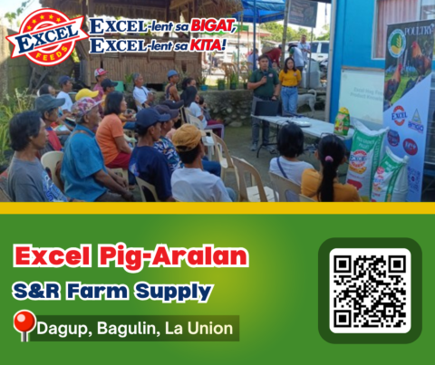PIG-Aralan sa Dagup, Baranggay Hall, | Excel Feeds